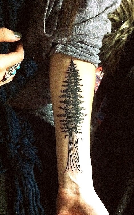 15 Tree Tattoo Designs You Won’t Miss - Pretty Designs