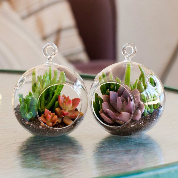 20 Ideas to Decorate Desks with Succulent - Pretty Designs
