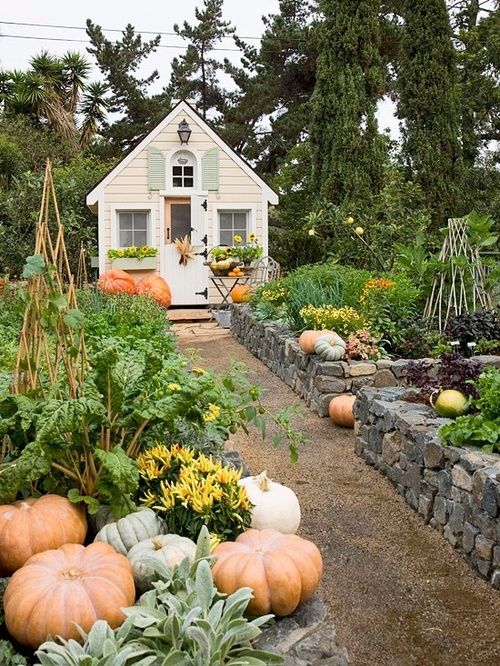 15 Backyard Designs for Fall - Pretty Designs