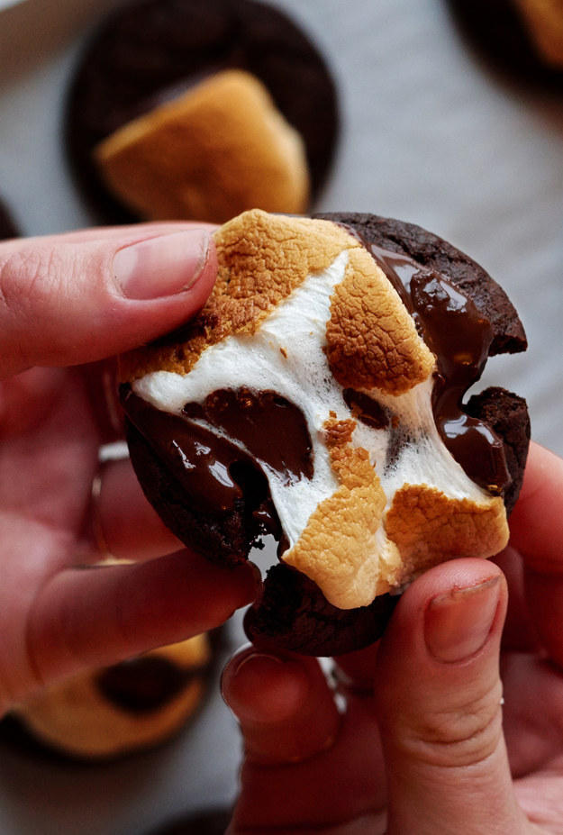 20 Cookie Ideas for Your Holiday - Pretty Designs